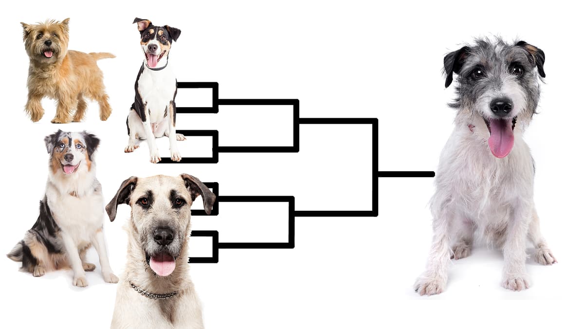 Inside TRIAD,Inside Science