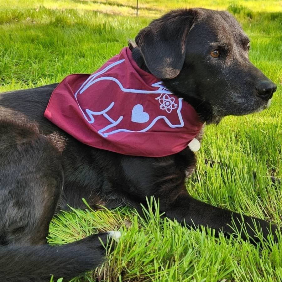 Big data, big discoveries